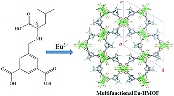 Homochiral porous coordination polymer of EuIII for metal ion sensing ...