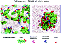 Controlling the self-assembly of perfluorinated surfactants in aqueous ...