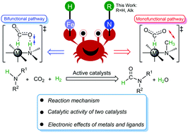 Mechanism of iron complexes catalyzed in the N-formylation of amines ...