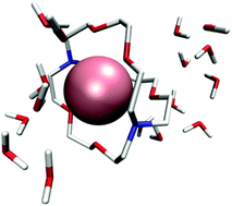 Computational predictions of metal–macrocycle stability constants ...