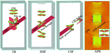 Interactions between butterfly-like prismatic dislocation loop pairs ...