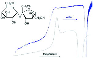Hydration enthalpies of amorphous sucrose, trehalose and maltodextrins ...