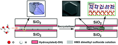 An experimental and theoretical study on the growth of plate-like β-HMX ...