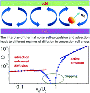 Active particle diffusion in convection roll arrays - Physical Chemistry Chemical Physics (RSC ...