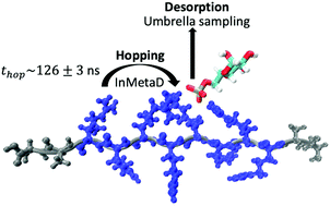 Infrequent metadynamics study of rare-event electrostatic channeling ...