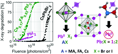 X-ray stability and degradation mechanism of lead halide perovskites ...
