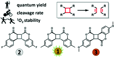 Cycloreversion performance of coumarin and hetero-coumarin dimers under ...