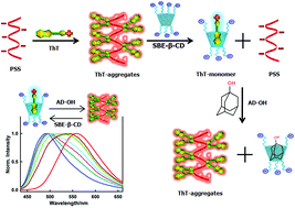 Supramolecular tuning of thioflavin-T aggregation hosted by polystyrene ...