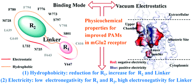 Exploring the binding mechanism of positive allosteric modulators in ...