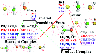 Theoretical investigation of the SN2 mechanism of X− [X = SH, PH2 ...