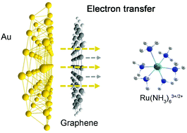 Effect of a Au underlayer on outer-sphere electron transfer across a Au ...