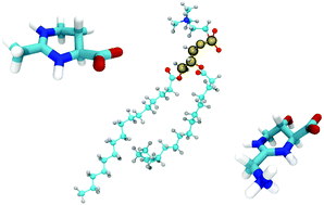 Stabilization of DPPC lipid bilayers in the presence of co-solutes ...
