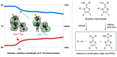 Fragmentation and rearrangement of Breslow intermediates: branches to ...