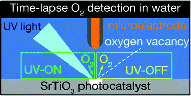 Microelectrode-based transient amperometry of O2 adsorption and ...
