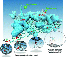 The manner and extent to which the hydration shell impacts interactions ...