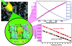 Optical pressure and temperature sensing properties of Nd3+:YTaO4 ...