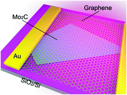 A graphene–Mo2C heterostructure for a highly responsive broadband ...
