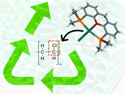 A computational study of the mechanism of chloroalkane dechlorination ...