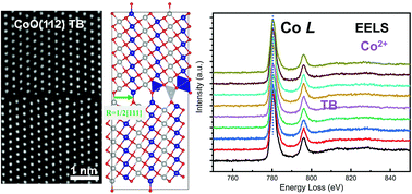 Atomic structures of twin boundaries in CoO - Physical Chemistry ...