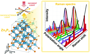 Raman tensor of zinc-phosphide (Zn3P2): from polarization measurements ...