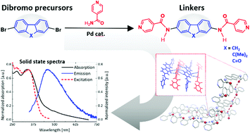 Bis-isonicotinoyl linkers containing polyaromatic scaffolds: synthesis ...
