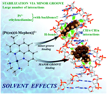 From groove binding to intercalation: unravelling the weak interactions ...