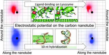 The molecular origin of the electrostatic gating of single-molecule ...