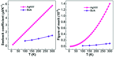 The phonon scattering mechanism and its effect on the temperature ...