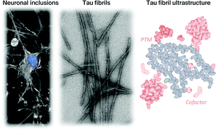 Revisiting the grammar of Tau aggregation and pathology formation: how ...