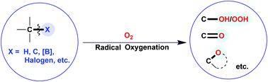 Molecular oxygen-mediated oxygenation reactions involving radicals ...