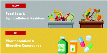 Sustainable production of pharmaceutical, nutraceutical and bioactive ...