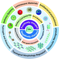 Multicharged cyclodextrin supramolecular assemblies - Chemical Society ...