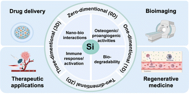 Silicon-containing nanomedicine and biomaterials: materials chemistry ...