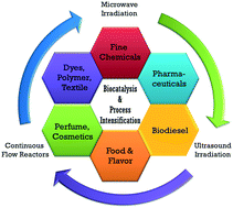 Process intensification using immobilized enzymes for the development ...