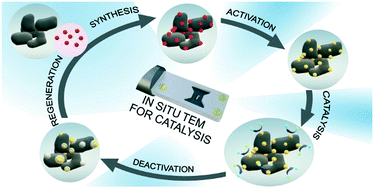 Developments and advances in in situ transmission electron microscopy ...