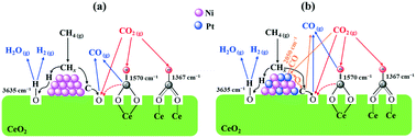 Dry reforming of methane on bimetallic Pt–Ni@CeO2 catalyst: a in situ DRIFTS-MS mechanistic ...