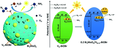 Boosted photocatalytic nitrogen fixation by bismuth and oxygen ...