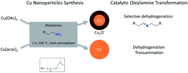 Influence of the copper precursor on the catalytic transformation of ...