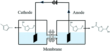 Critical practices in conducting electrochemical conversion of 5 ...