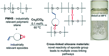 Co2(CO)8 and unsaturated epoxides as unexpected partners in generating ...