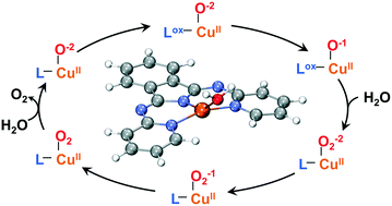 Redox-inactive metal single-site molecular complexes: a new generation ...