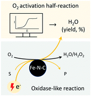 Quantitative evaluation of O2 activation half-reaction for Fe–N–C in ...
