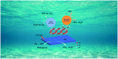 The bifunctional Lewis acid site improved reactive oxygen species ...