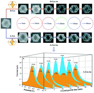 Synthesis of gold nanocrystals with chiral morphology, chiral ligand ...