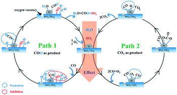 New insights into the influence mechanism of H2O and SO2 on Pt–W/Ti ...