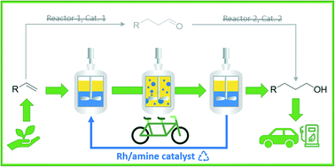 Auto-tandem catalytic reductive hydroformylation with continuous ...