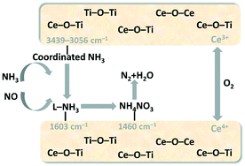 Time-resolved in situ DRIFTS study on NH3-SCR of NO on a CeO2/TiO2 ...