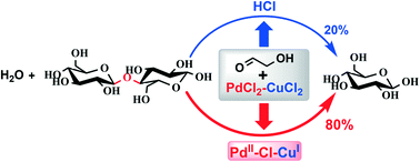 Evolution of catalytically active species in paired PdCl2–CuCl2/[BMim]Cl for hydrolysis of β-1,4 ...