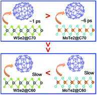 Rational design of monolayer transition metal dichalcogenide@fullerene van der Waals ...