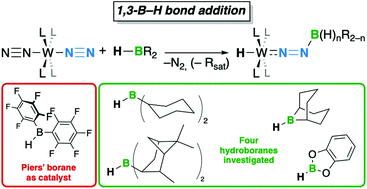Borane-catalysed dinitrogen borylation by 1,3-B–H bond addition ...